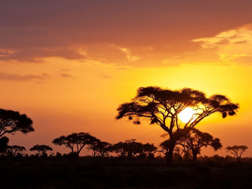 +40 Datos curiosos sobre Kenia: un país donde se conduce por la ...