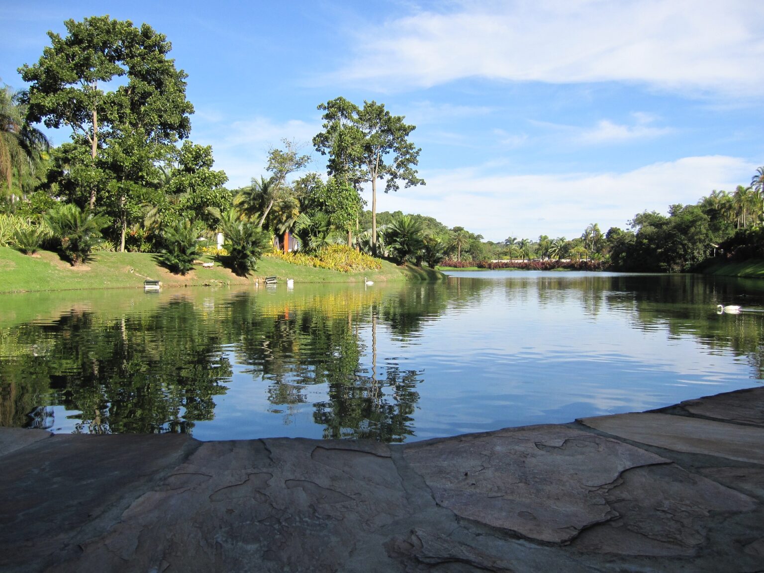 +40 Curiosidades de El Museo Inhotim ¡Datos interesantes!